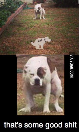That's some good shit - 9GAG
