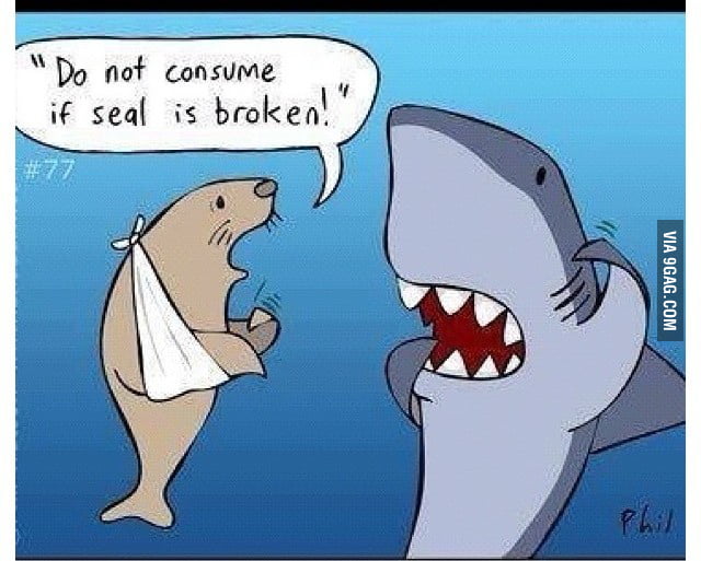 Poor shark... - 9GAG