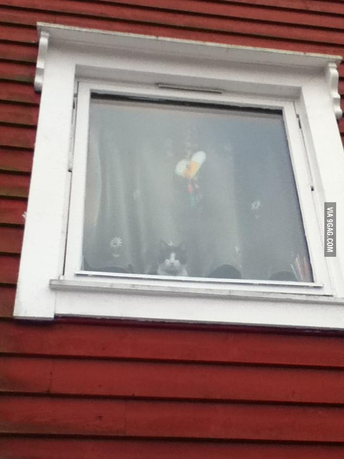 Soon you will give me food!! - 9GAG