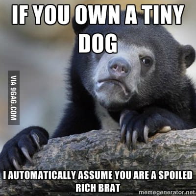 Confession bear is judgmental! - 9GAG