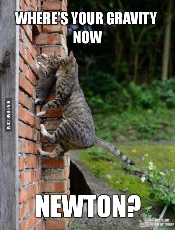 Screw you gravity ... - 9GAG