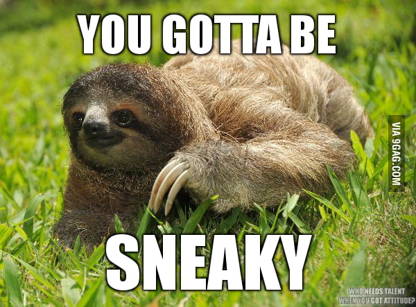 Sloths and their evil plots ... - 9GAG