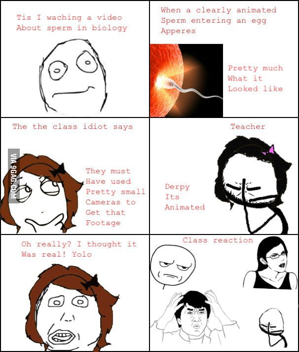 The class idiot - 9GAG