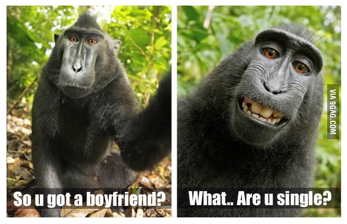 Are u single? - 9GAG