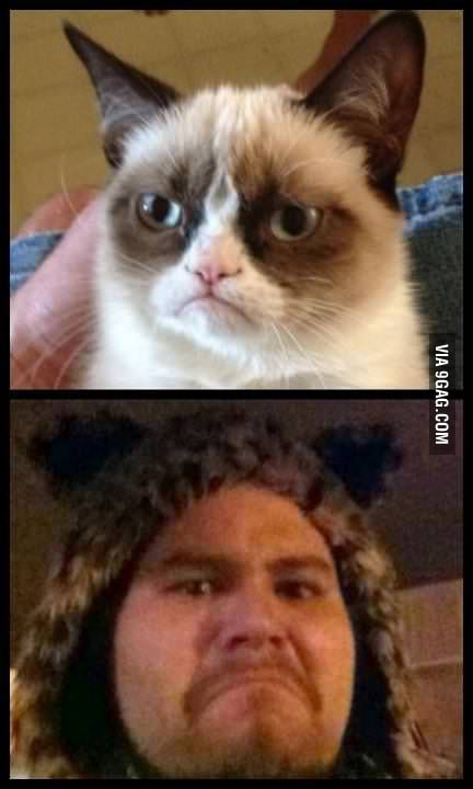 Grumpy Cat ? Grumpy Loul - 9GAG