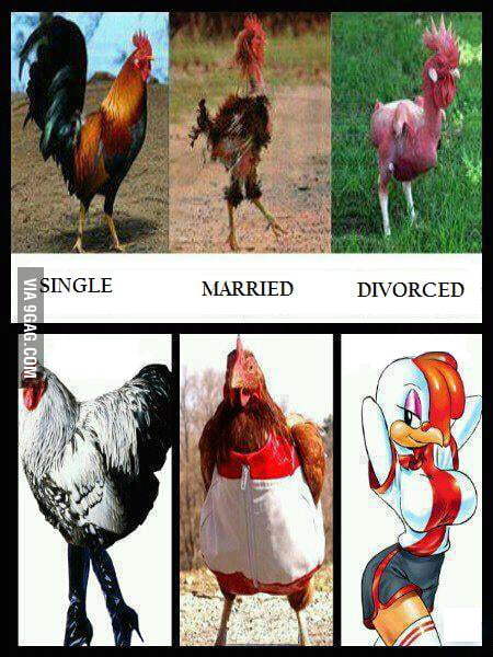Single, married, divorced - 9GAG