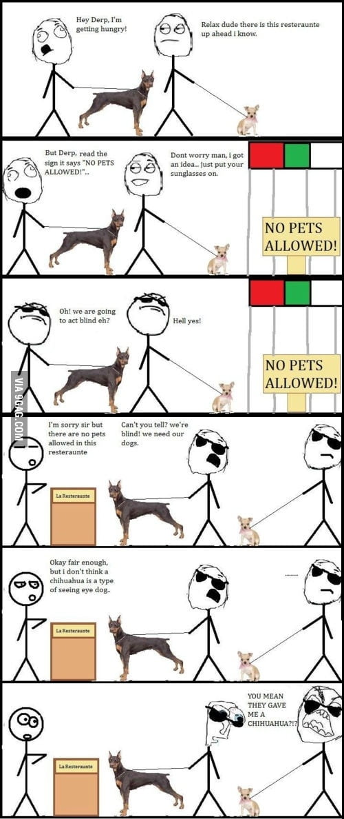 They Gave Me What 9GAG