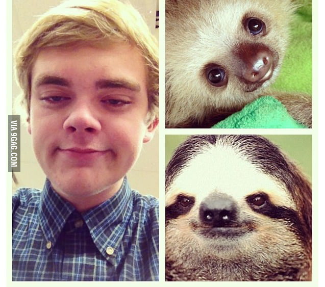 See the sloth ,be the sloth , I am the sloth - 9GAG