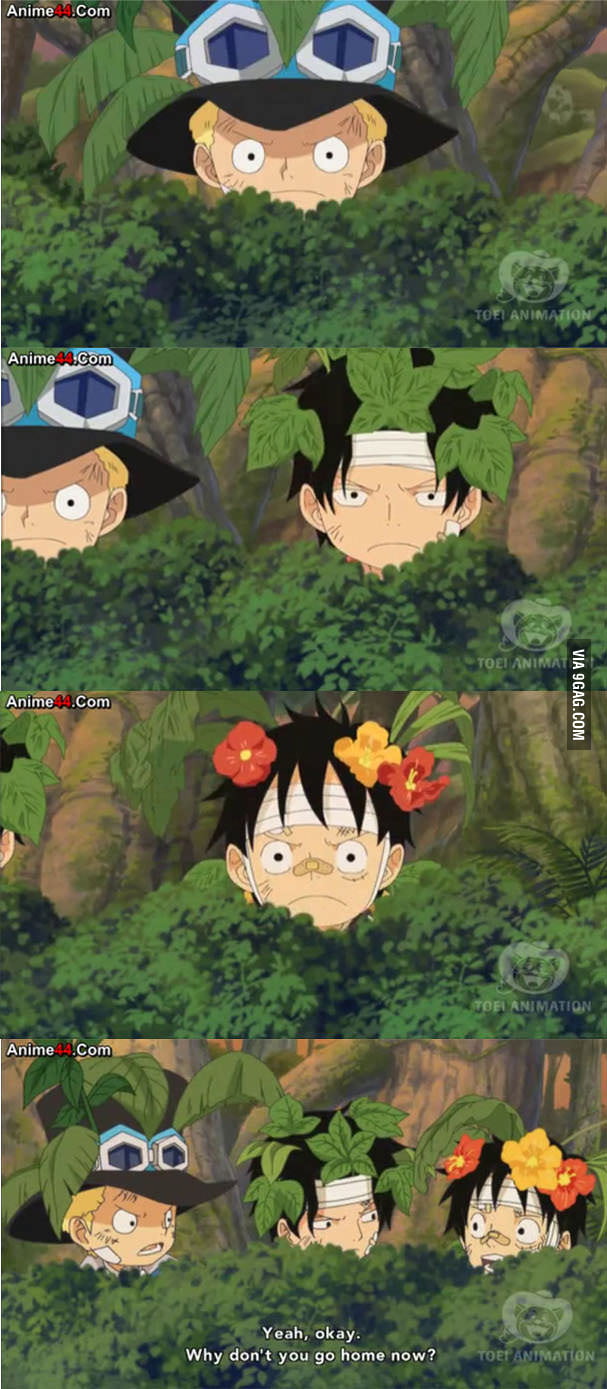 Oh Luffy... - 9GAG