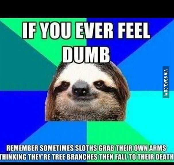 Sloths..... - 9GAG