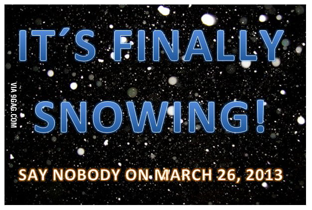 It´s finally snowing! - 9GAG