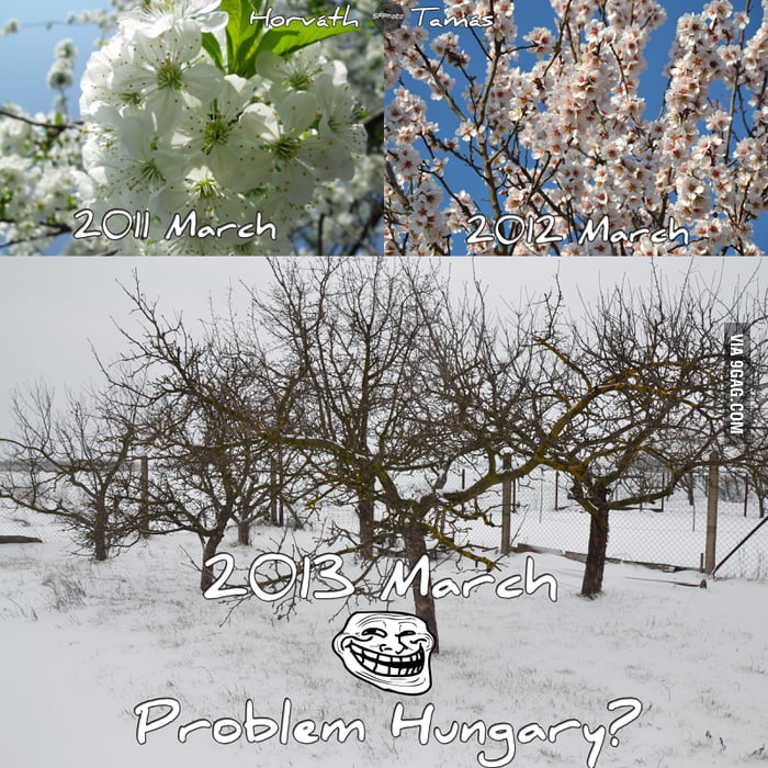 Problem Spring? - 9GAG