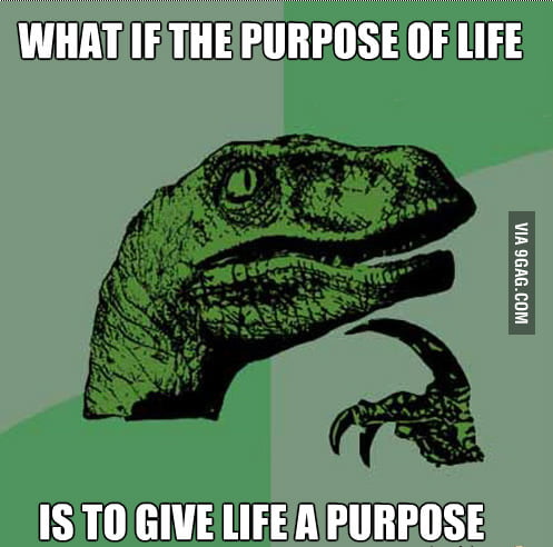 The purpose of life - 9GAG