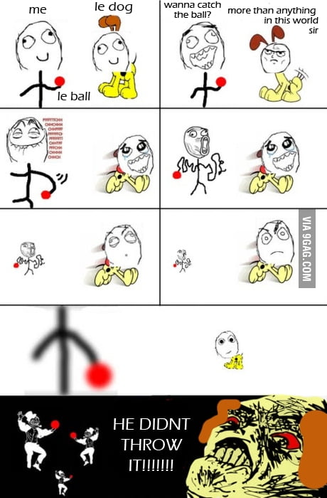 Trolling ALL the dogs!!!! - 9GAG