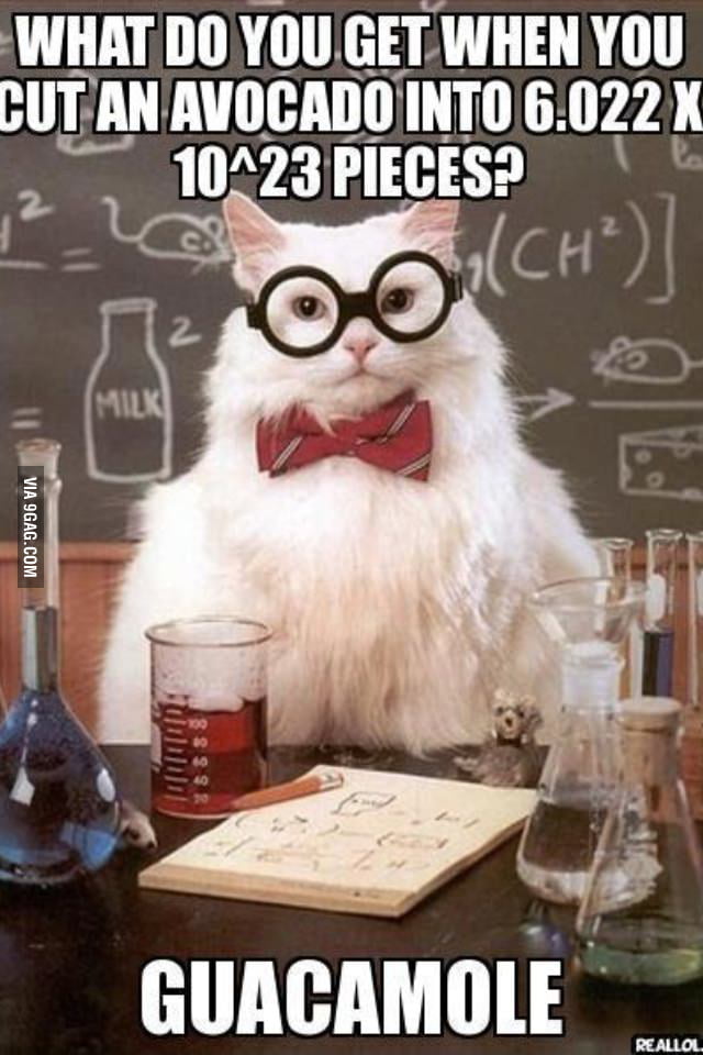 Yeah Science B Tch 9gag