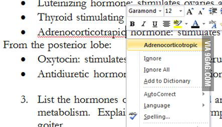 Microsoft word called me out - 9GAG