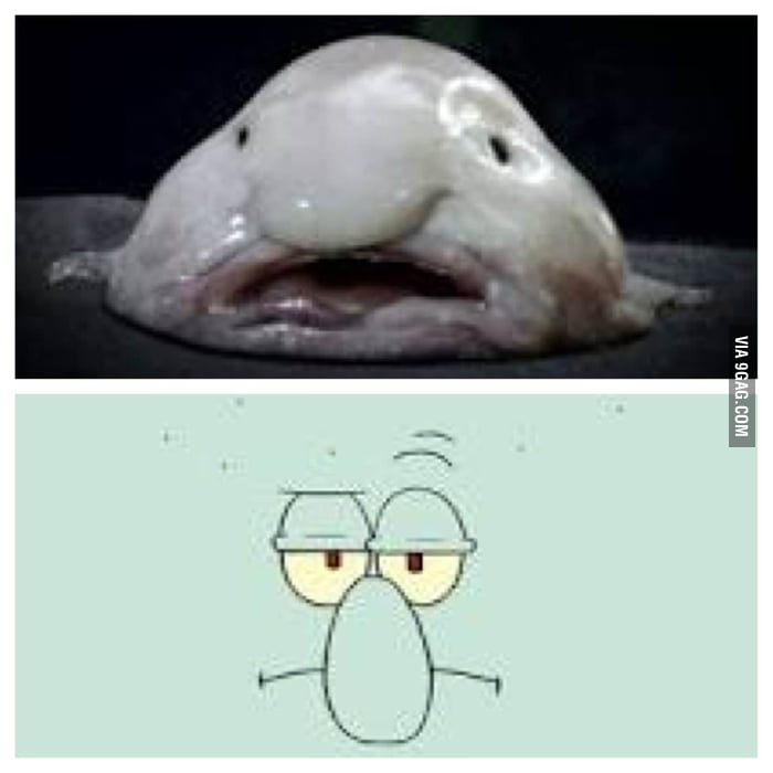 Squidward's Face in Real Life - 9GAG