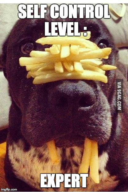 Self Control: Level Expert - 9GAG