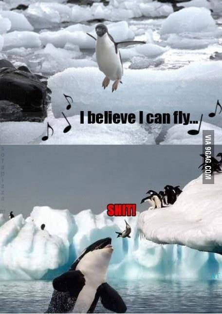 Poor Penguin... - 9GAG