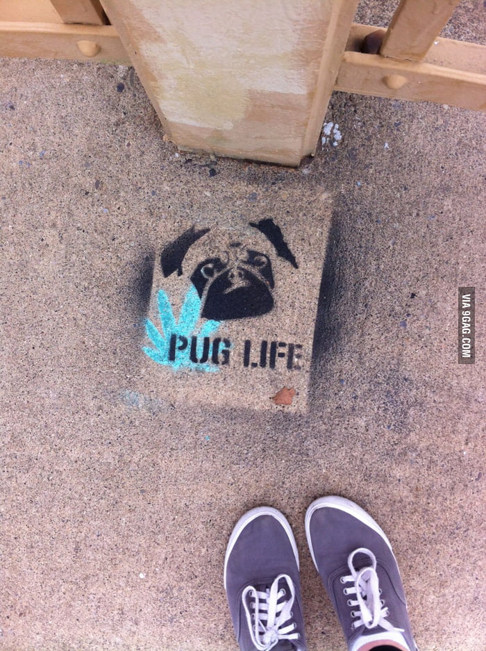 Pug life graffiti - 9GAG