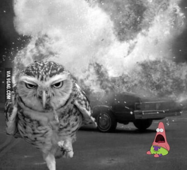 Epic Patrick! - 9GAG