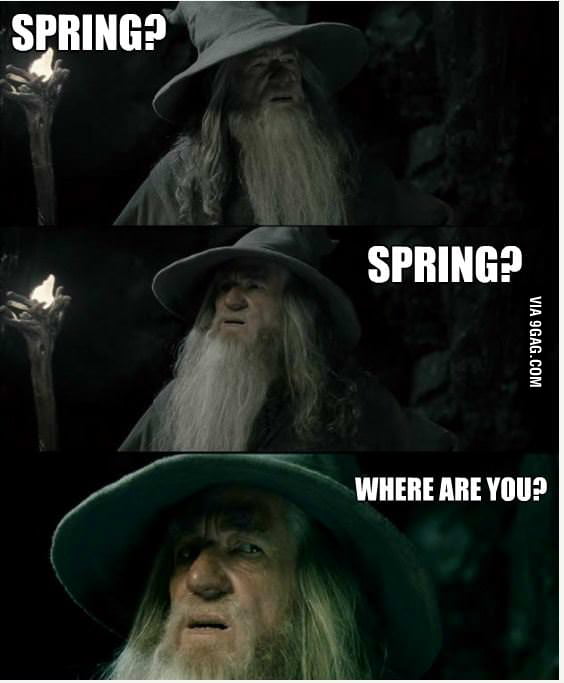 Spring? Where are you? - 9GAG