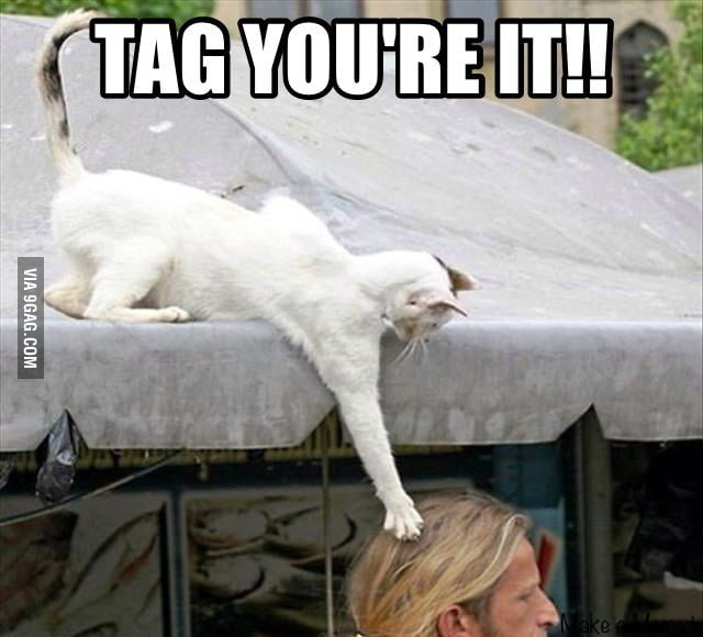 Tag you're it! - 9GAG