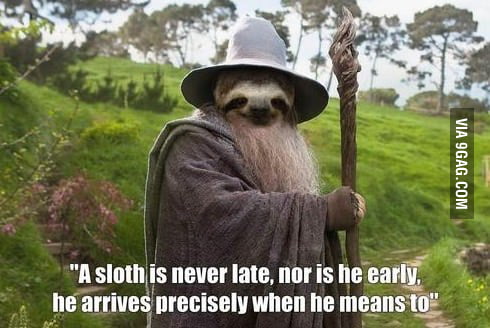 The timing of the sloth - 9GAG