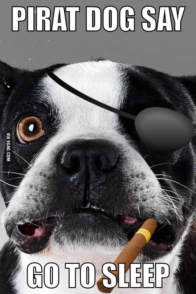 My dog is a perv - 9GAG