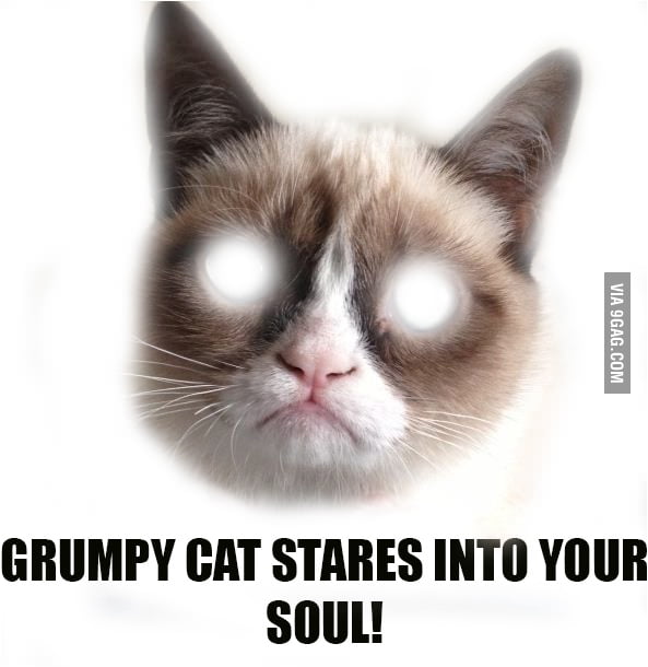 Grumpy Cat Stares Into Your Soul!! - 9GAG