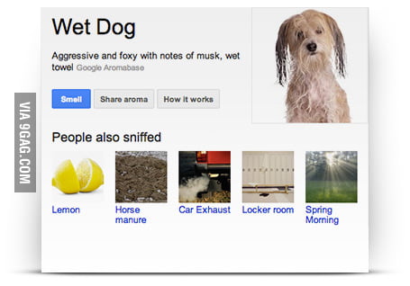 Google Nose Beta - 9GAG