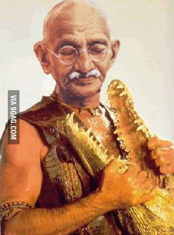 Crocodile Gandhi - 9GAG