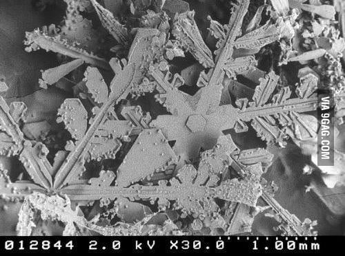 Snow through a microscope - 9GAG