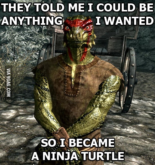 Play as a Ninja Turtle in Skyrim! - 9GAG