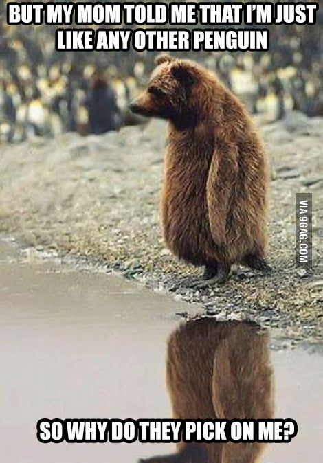 Weird penguin - 9GAG