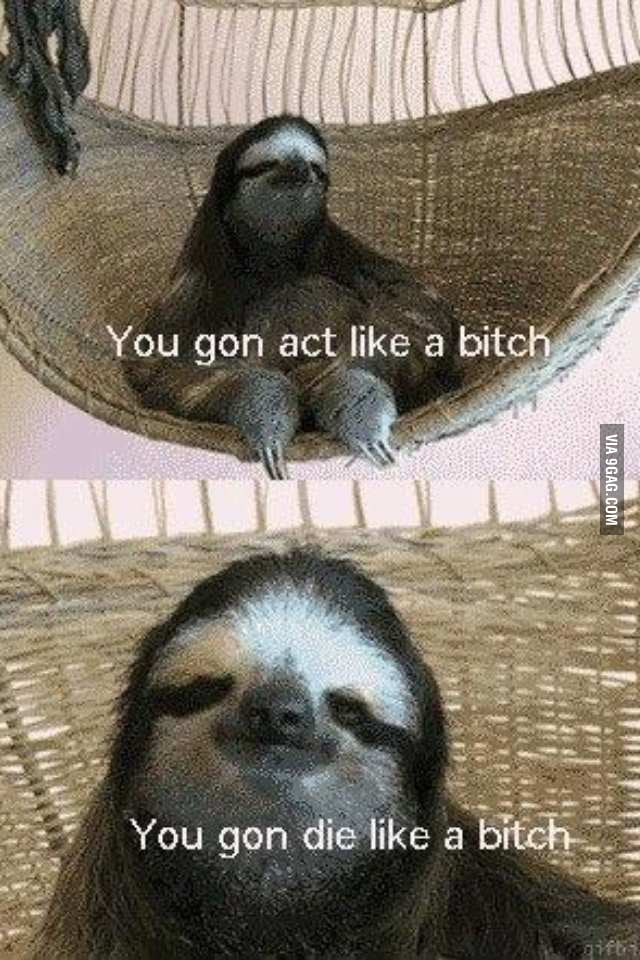 I have a strange attraction to evil sloths - 9GAG