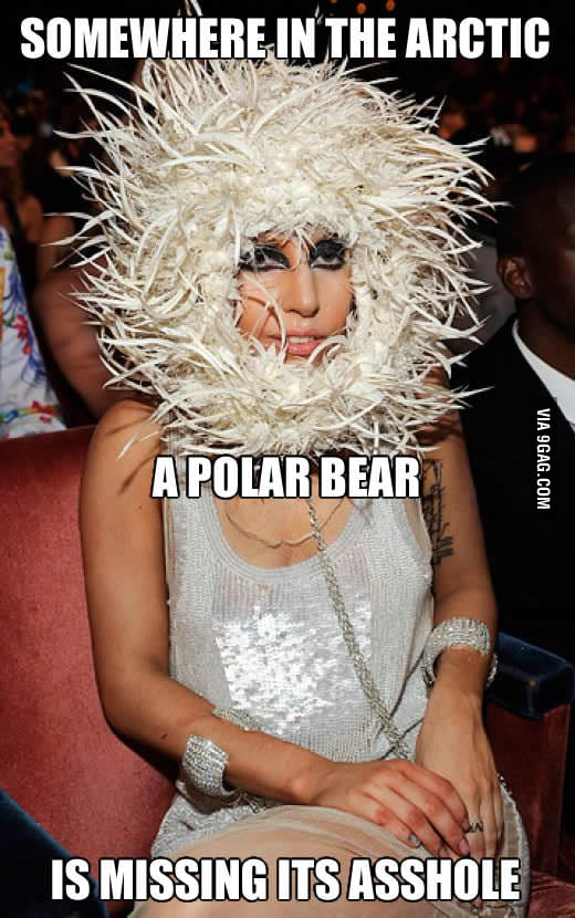 Poor polar bear. - 9GAG
