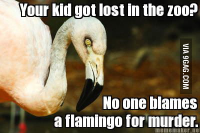 The Evil Flamingo - 9GAG