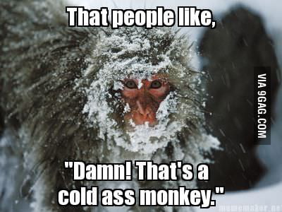 That people like, "Damn! That's a cold ass monkey." - 9GAG