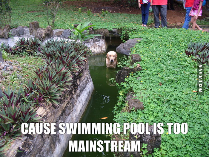Too MainStream - 9GAG