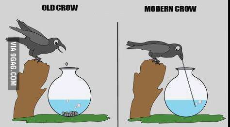 Old crow vs Modern crow - 9GAG