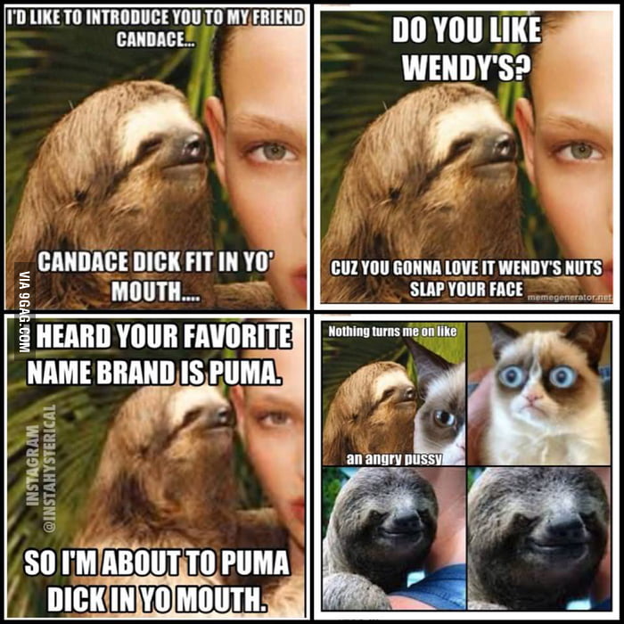 That's a naughty sloth. - 9GAG