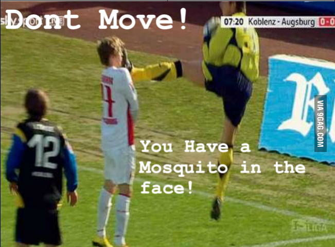 Don´t move bro! - 9GAG