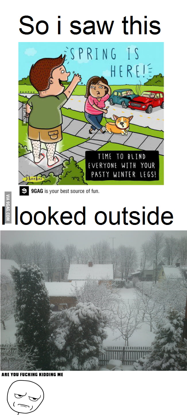 Spring - 9GAG