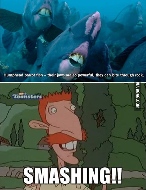 SMASHING!! - 9GAG