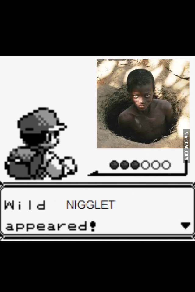 A wild nigglet appeared ! - 9GAG
