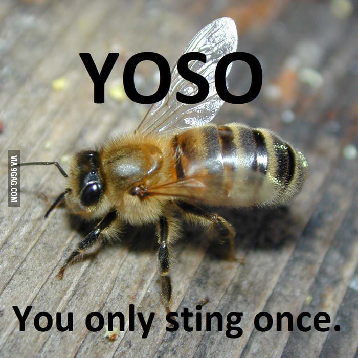 Take that, YOLO. - 9GAG