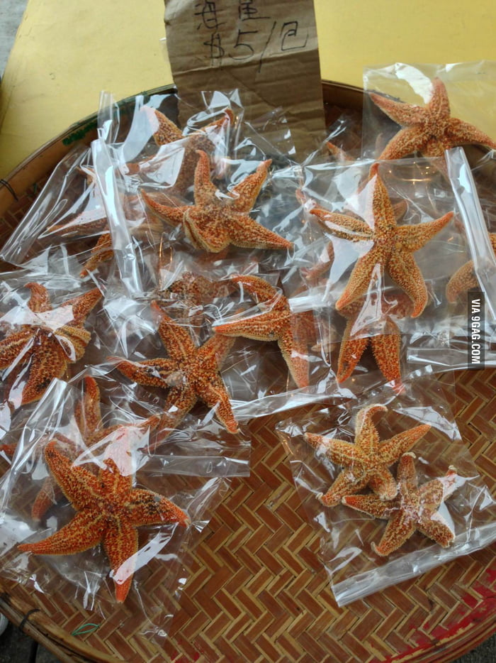 Here comes the dried Patrick Star! - 9GAG