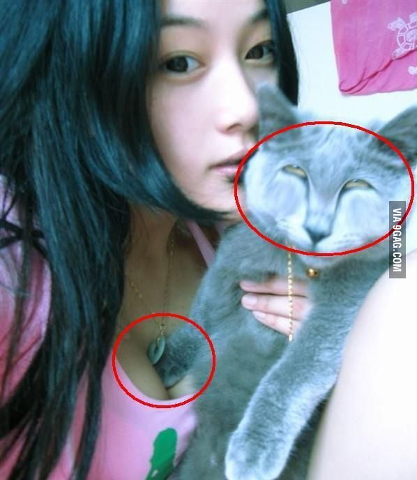 Perv cat... - 9GAG