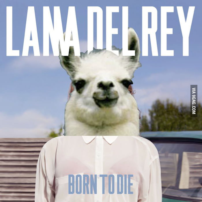 Lama Del Rey - 9GAG
